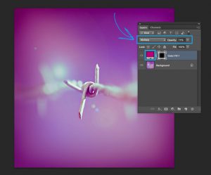 How To Create A Vignette Effect In Photoshop (4 EASY WAYS + FREE ...