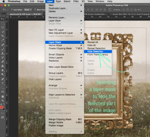 How To Change The Opacity Of Part Of An Image In Photoshop